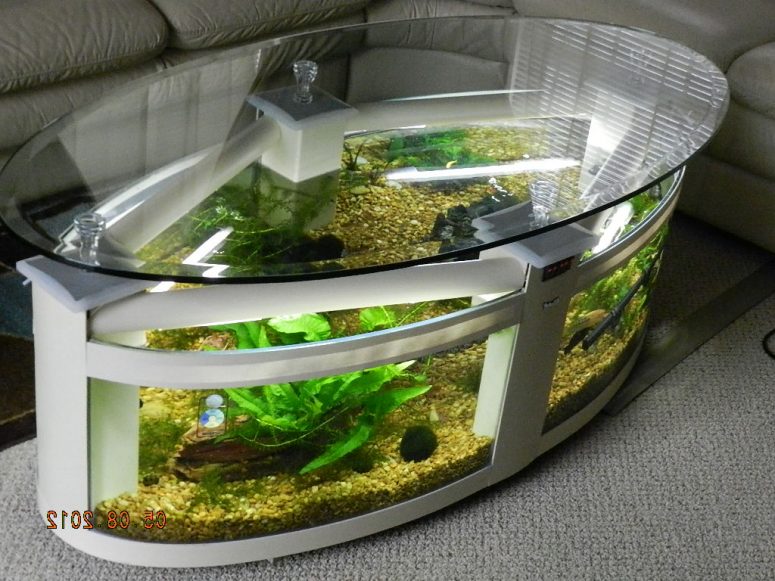 Fish Tank Coffee Table for Sale