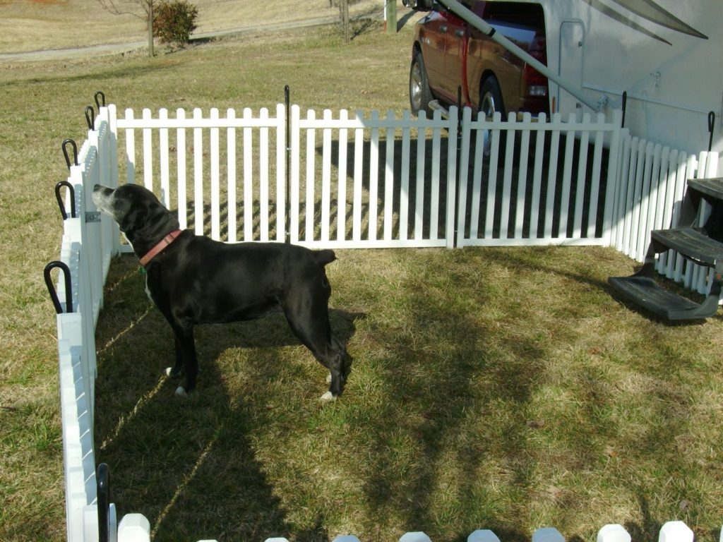Dog Fences Outdoor DIY To Keep Your Dogs Secure