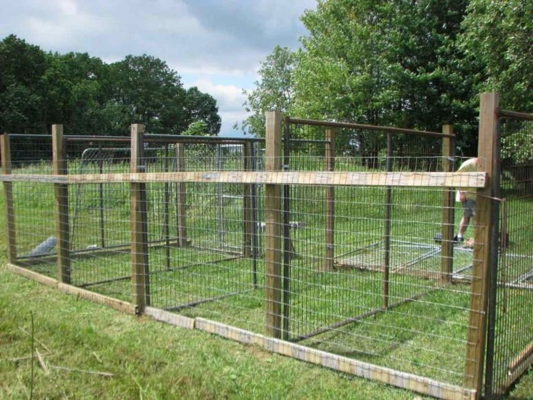 Dog Fences Outdoor DIY To Keep Your Dogs Secure