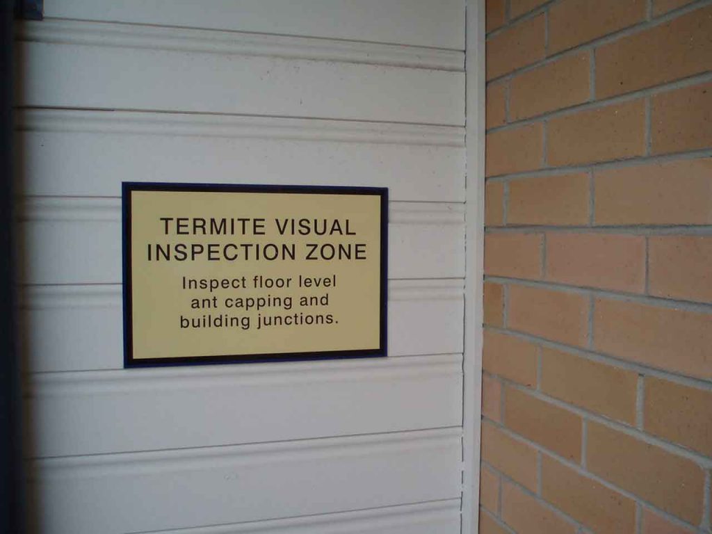 How Much Is A Termite Inspections Cost? A Guideline For Termite Treatment