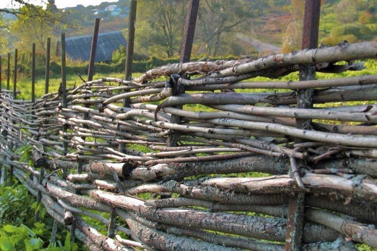 5 DIY Temporary Wood Fence Ideas You Should Copy