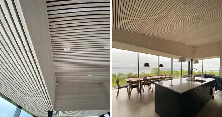 Aesthetic And Functional, Everything You Need to Know About Wood Slat ...